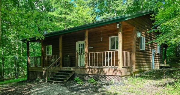 A Beary Cozy Cabin In Hocking Hills - Laurelville, OH