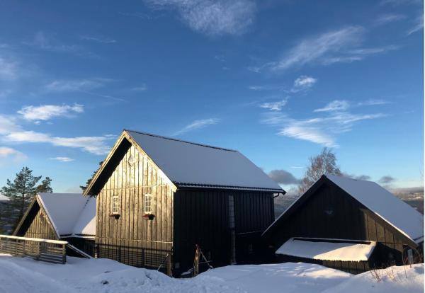 Villa Fjara Sleeps 22 In 6 Bedrooms - Norway