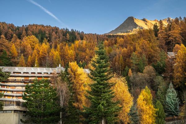 Abbraccio Alpino - Cogne