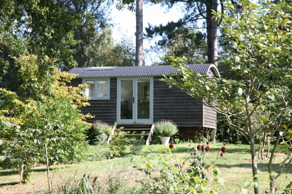Blackdown Shepherds Hut - West Sussex