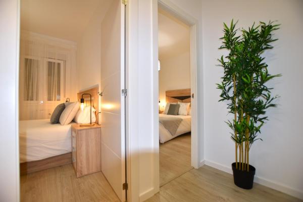 Bajo Alfonso X - Vigo