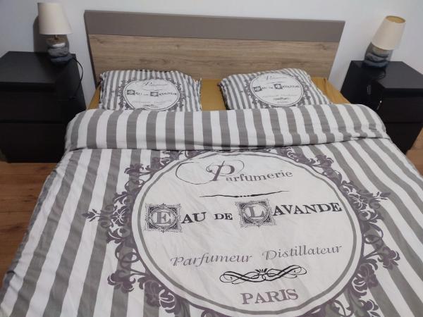 Grand Appartement Chaleureux - Côte-d'Or