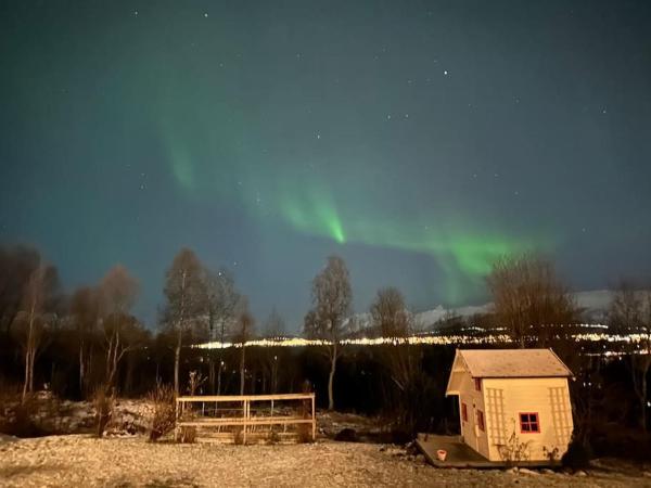 Oppdag Tromsø Fra Vår Leilighet! - Tromsø