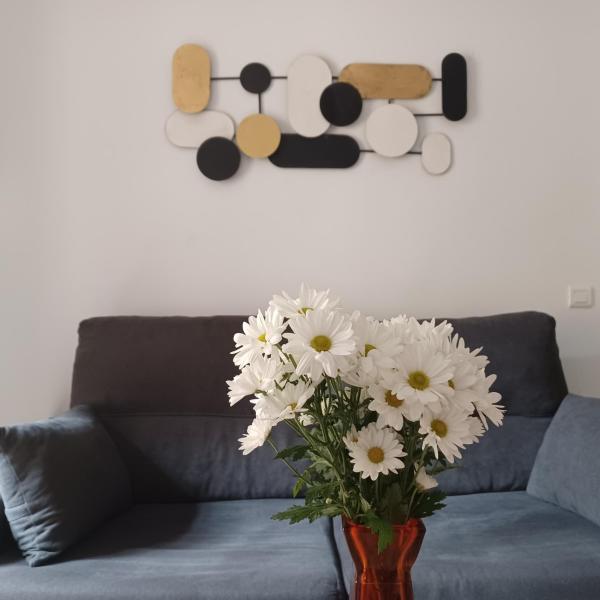 Picasso's Neighbor - Málaga