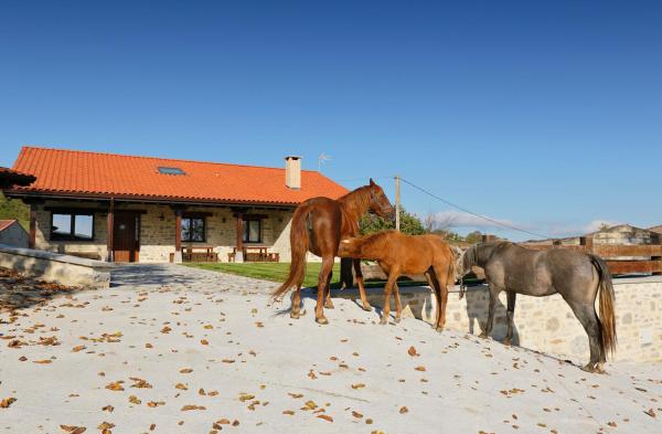 Casa Rural El Ribero Ii - Valmaseda