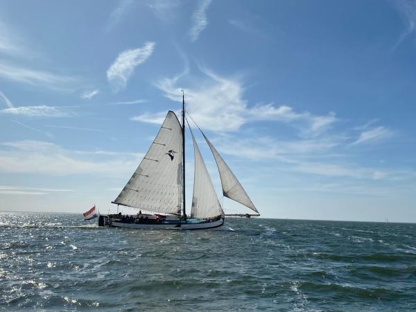 Tjalkjacht Pelikaan Hoorn - Hoorn