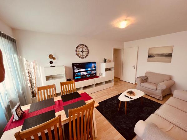3-room Apartment For Business Travelers Or Familie, Free Wifi & Tv With 100 Countries, Dazn, Sky, Netflix & Disney - Suisse