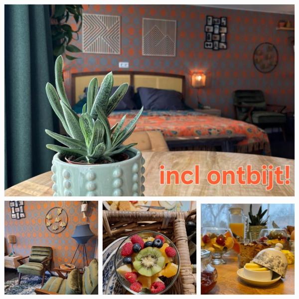 B&b De Gouwe Tijd, Suite "Gouden Ginkgo" - Zeeland