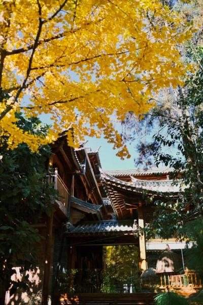 Grand Joli糖音谭影客栈 - Lijiang