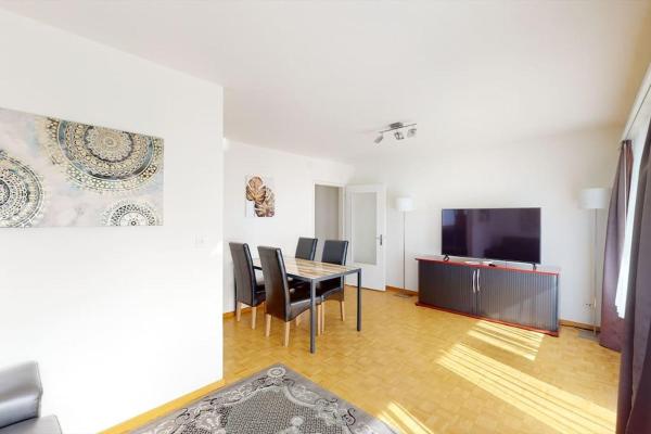 Very Nice 1br Flat With Sunny Balcony - Sky4 - Winterthour