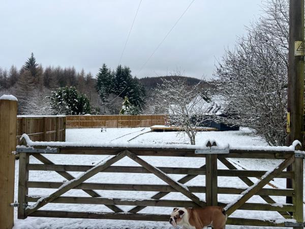 X Hatton Lodge X - Dunkeld