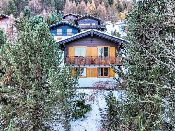 Chalet Magicien By Interhome - Nendaz