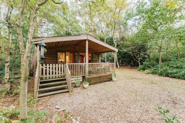 Squirrels Chase - Norfolk Cottage Agency - Holt