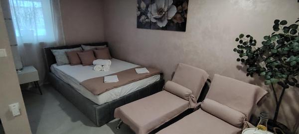 Mini Wellness Studio-near The Airport - Kranj