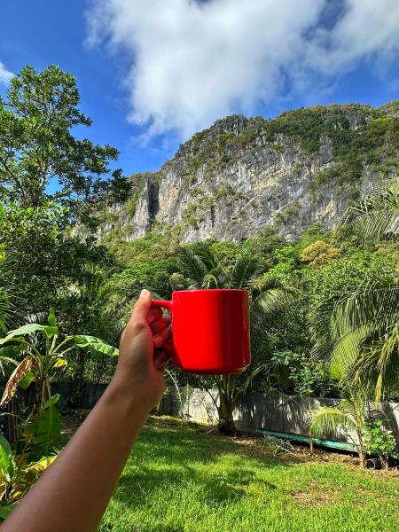 Blue House El Nido -