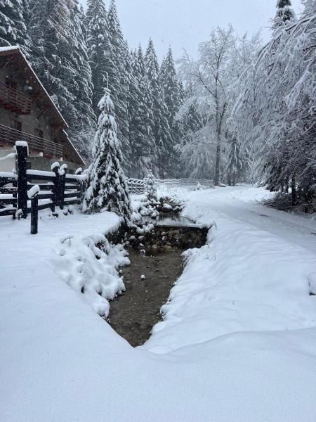 Chiba Chalet - Brașov
