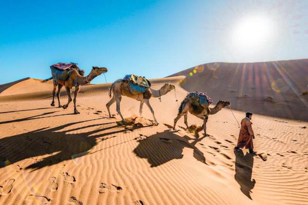 Merzouga Desert Camp - Merzouga