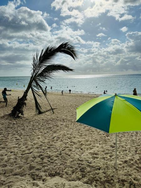 Modern Flat In Flic En Flac-walk To The Beach - Maurice