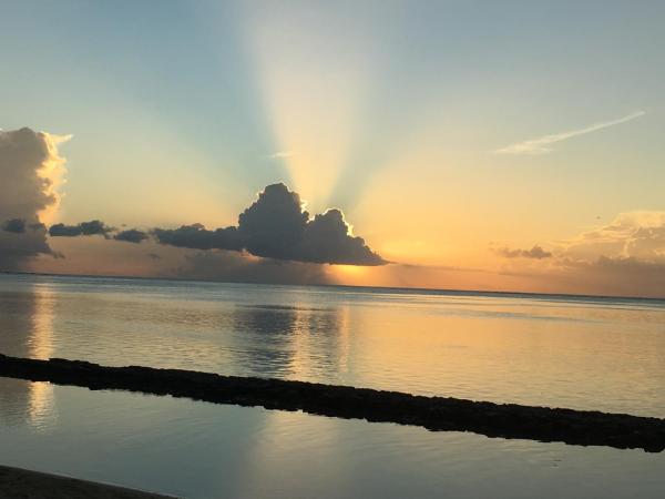 Pension Te Miti Hebergement Touristique Tahiti - Plage A 200m - Tahiti