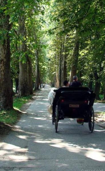 Apartment In Velika Aleja At Ilidža - Sarajevo