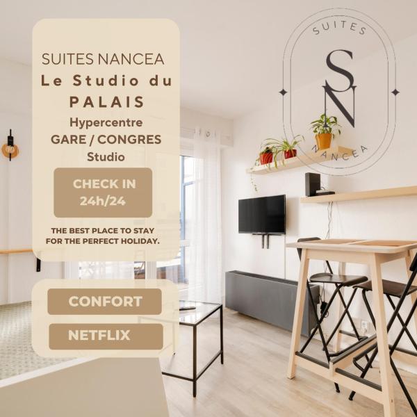 Le Studio Du Palais - Centre Nancy Gare Congrès - 2 Pers - Place Stanislas