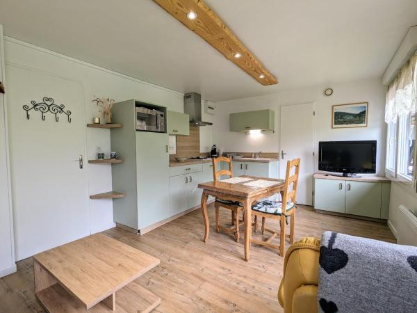 Gîte Montagne La Bresse, Balcon, Wi-fi, Parking Proche Ski - Fr-1-589-699 - La Bresse