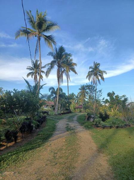 Asuneus Farm - Cebu