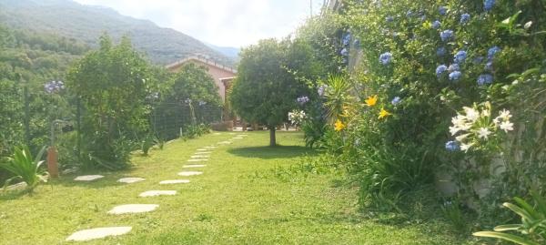 Iris Casa Vacanze - Alassio