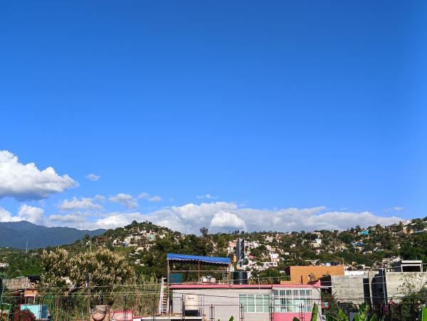 Ozeli Hostel - Oaxaca