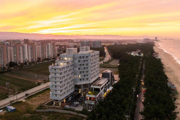 Gangneung Pineart Label - Gyeongsangbuk-do