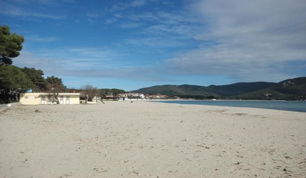 Gelsomino - Marina di Campo