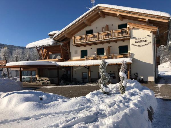 Albergo Garnì Antico Mas Del Medico - Predazzo