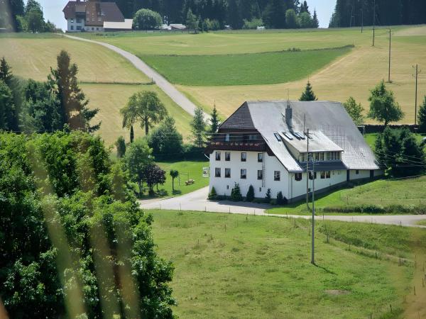 Gasthaus-pension Zum Löwen - Titisee-Neustadt