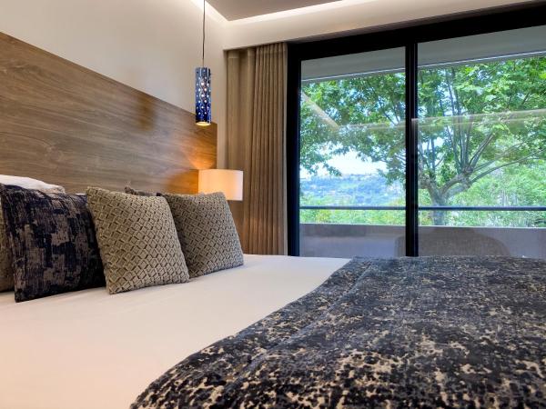 Servotel Saint-vincent - Alpes-Maritimes