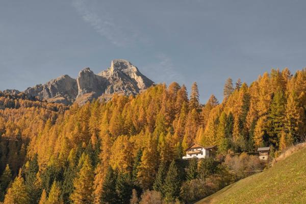 Ciasa Iachin - Dolomites Dream Retreat - Antermoia