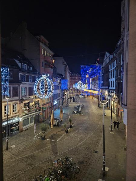 Superbe Appartement 140 M2 Plein Centre-ville De Strasbourg - ストラスブール