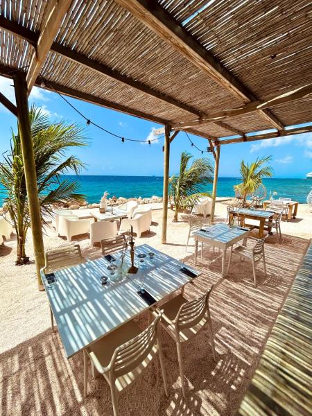 Bijblauw - Curaçao