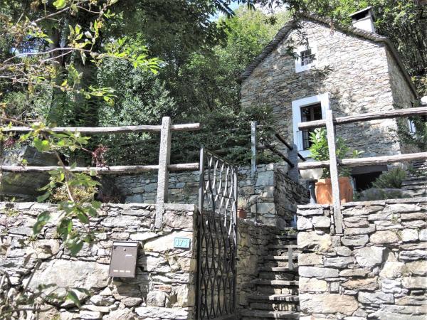 Rustico Gatto By Fewotessin - Gordola