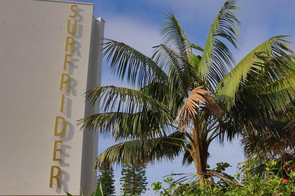 Dee Why Beach - Surfrider Studio 22 - Collaroy