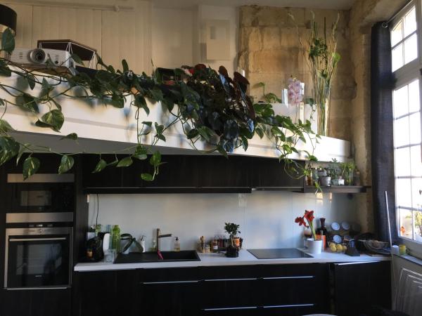 Appart 18esiecle Proche Centre Ville Pierre Plantes Bohéme Lgbt - Bordeaux