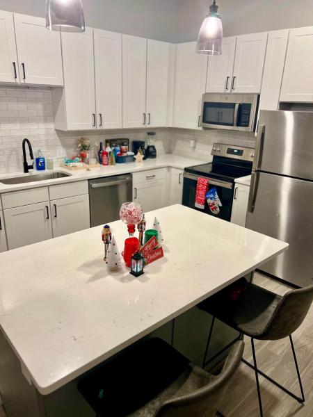 The Cozy Christmas Cottage - Dallas, TX