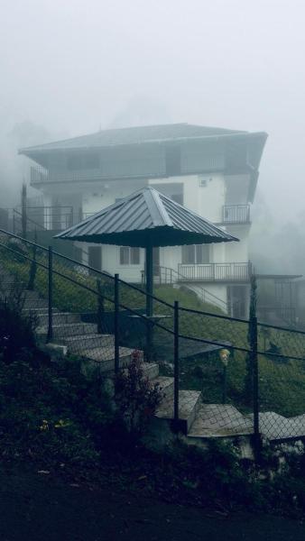 Misty Cloud - Idukki