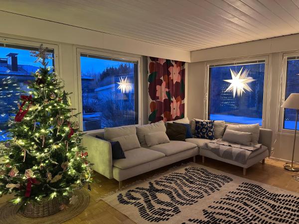 Arctic Villa Birch - Rovaniemi