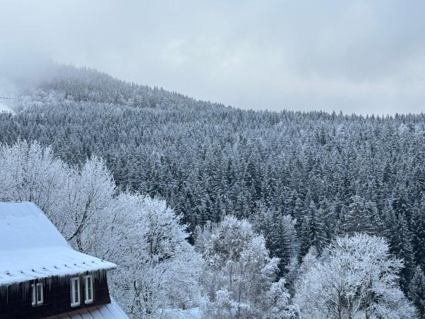 Penzion Verde Rosa - Harrachov