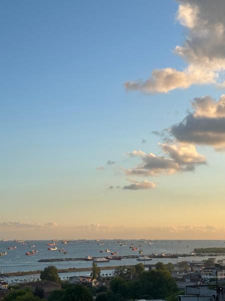 Algold - Prinseneilanden