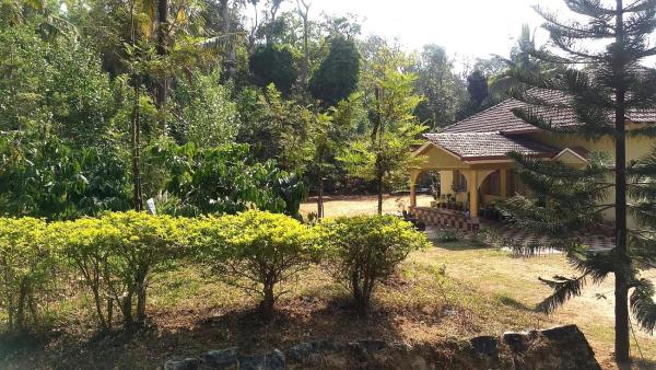 Malnad Bliss - Sringeri