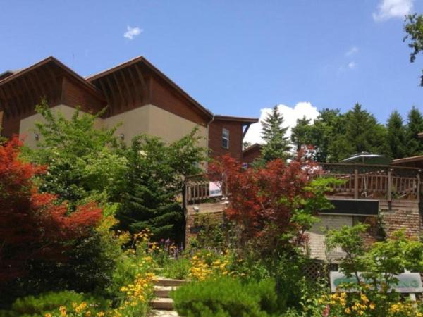 Queens Garden Pension - Gangneung-si