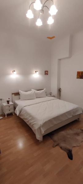 Cozy Apartment - 시비우