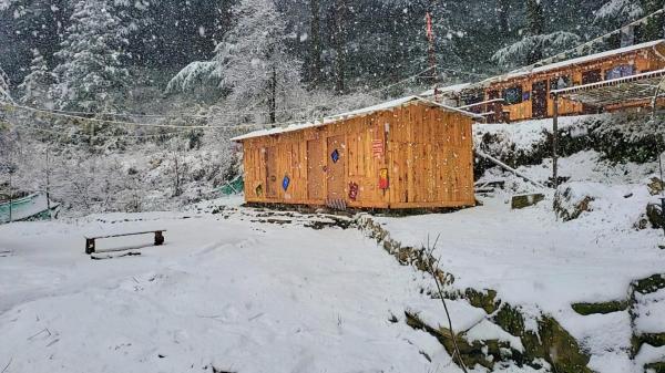 Wolf Stays - Kasol