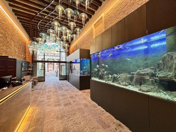 Hotel Aquarius Venice - Ascend Collection - Mestre